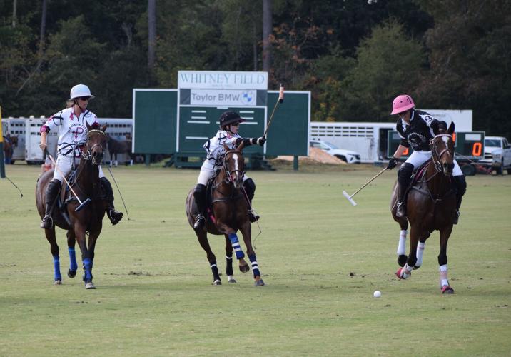 Celebrating polo: Historical marker unveiled Sunday at Whitney Field