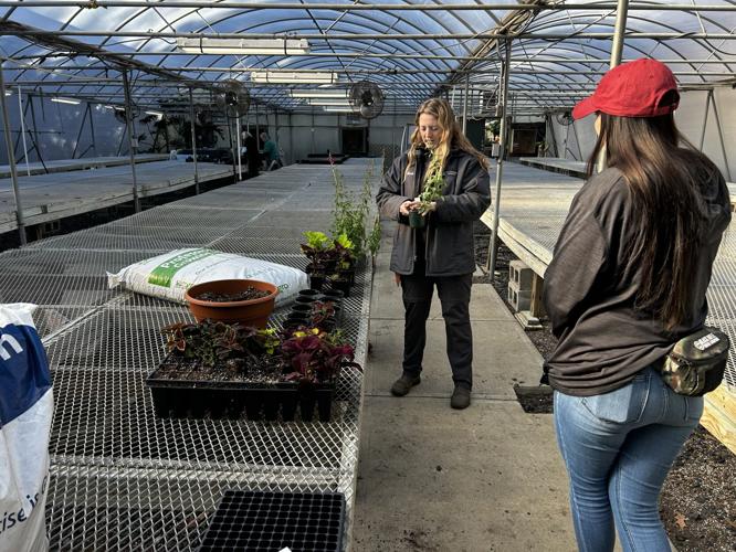 Charleston parks thrive under greenhouse volunteers