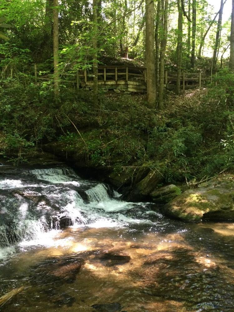Upstate Forever protects 450 acres, Greenville County park