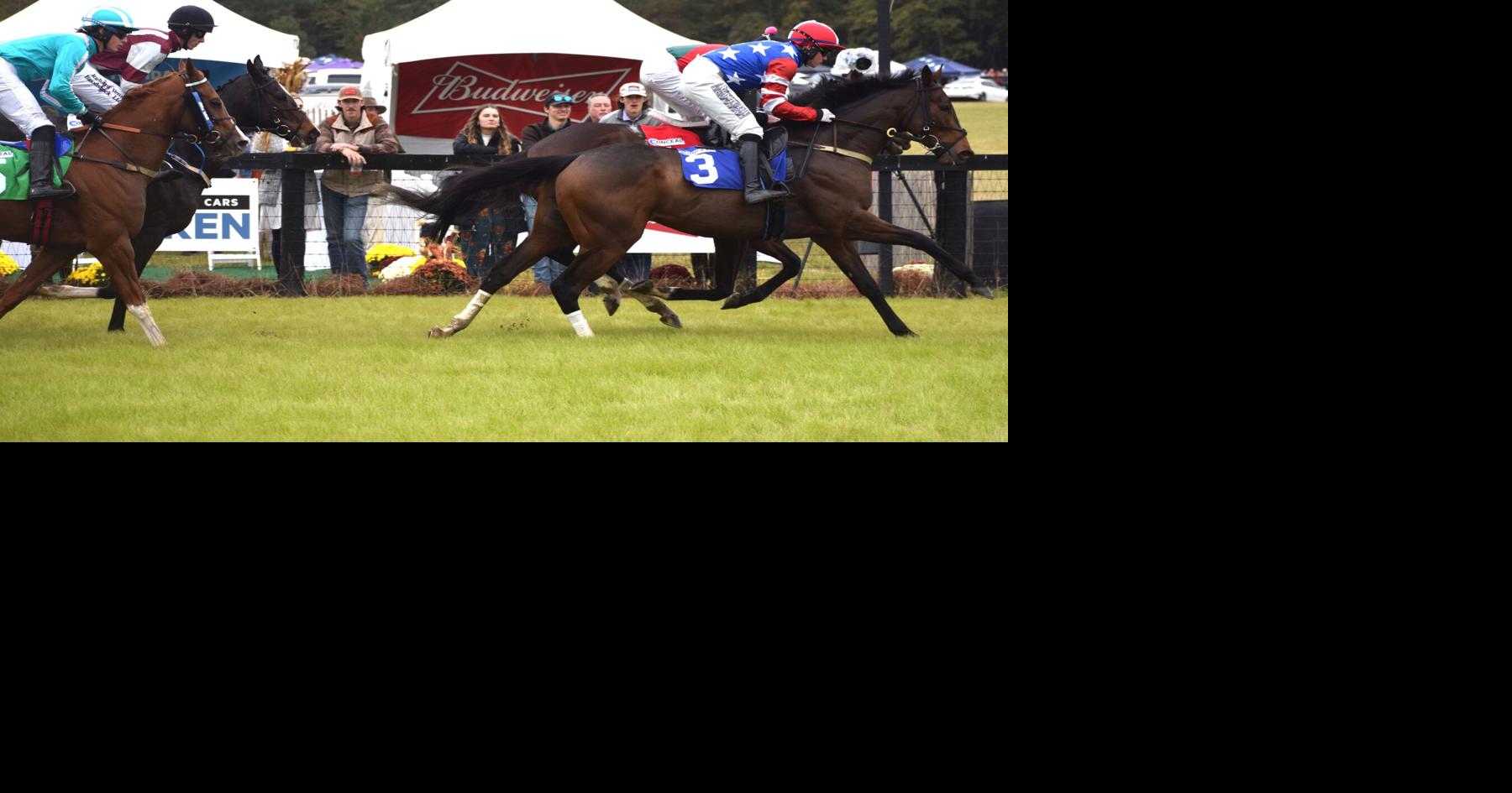 Aiken Fall Steeplechase to be the National Steeplechase Association's ...