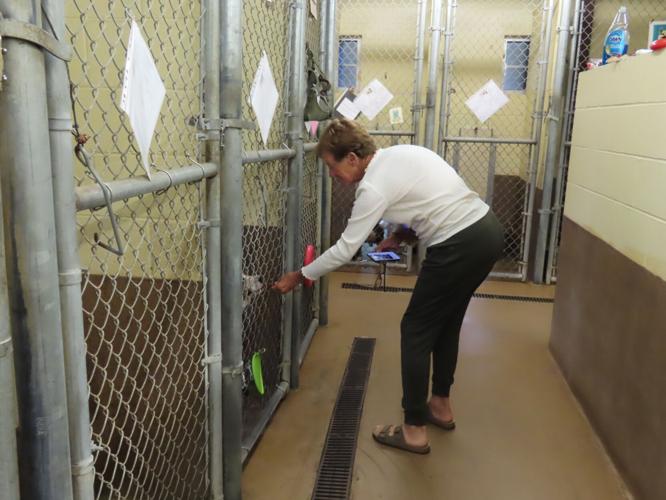 Florence Area Humane Society to reopen spay, neuter clinic