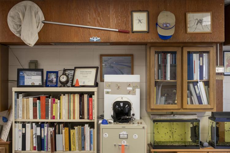 Photos: Mosquito Lab fights flying pests and their diseases through ...