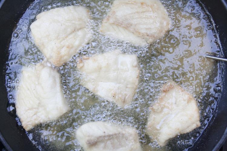 Tasty triggerfish | Photos | postandcourier.com