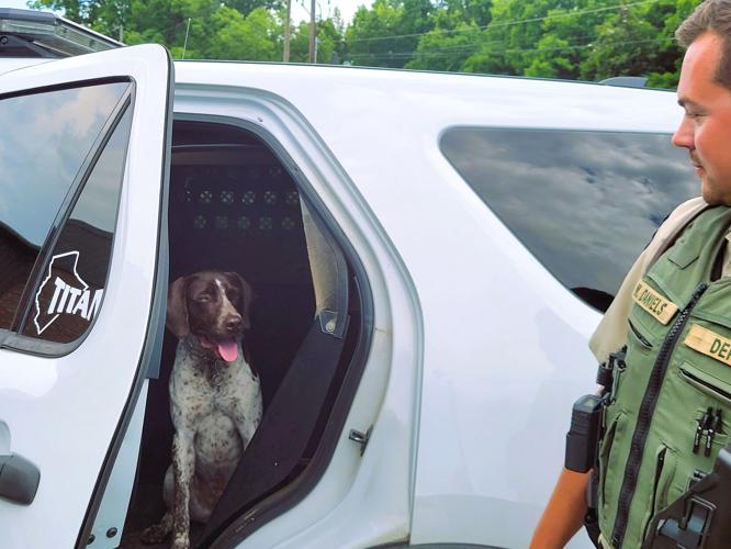 Edgefield County' Sheriff's Office trains rescue for k9 duty