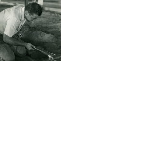 Organization documents history of Jewish merchants