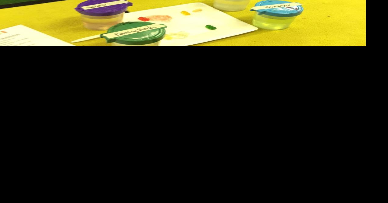 A ‘beary’ good time at Marrington Elementary | Education ...