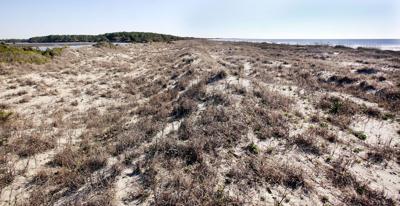 Facts support limited development of Capt. Sam | Opinion ...