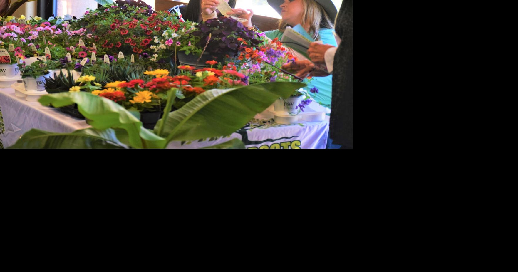 Not just planting trees: Area garden clubs pursue "conservation ...