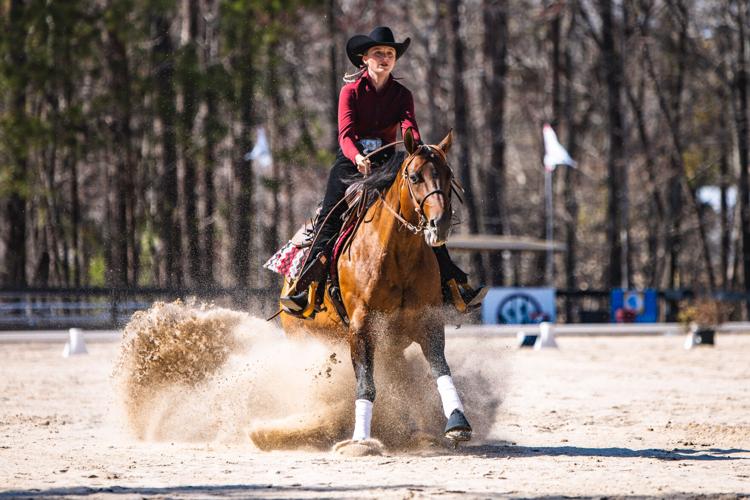 Gamecock equestrian scouts opponent's horses