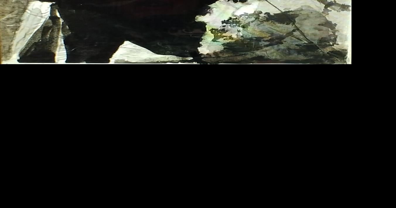 Review of Darrel Ellis exhibit at Columbia Museum of Art