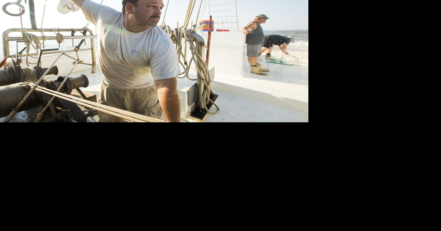 Lowcountry shrimpers to testify against shrimp imports