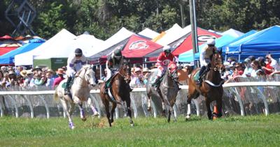 Steeplechase Association making progress in its search for new home for ...