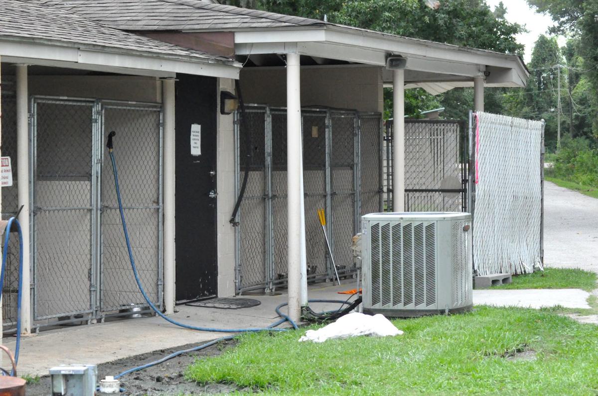 SPCA shelter prepares for 'facelift' | News | postandcourier.com