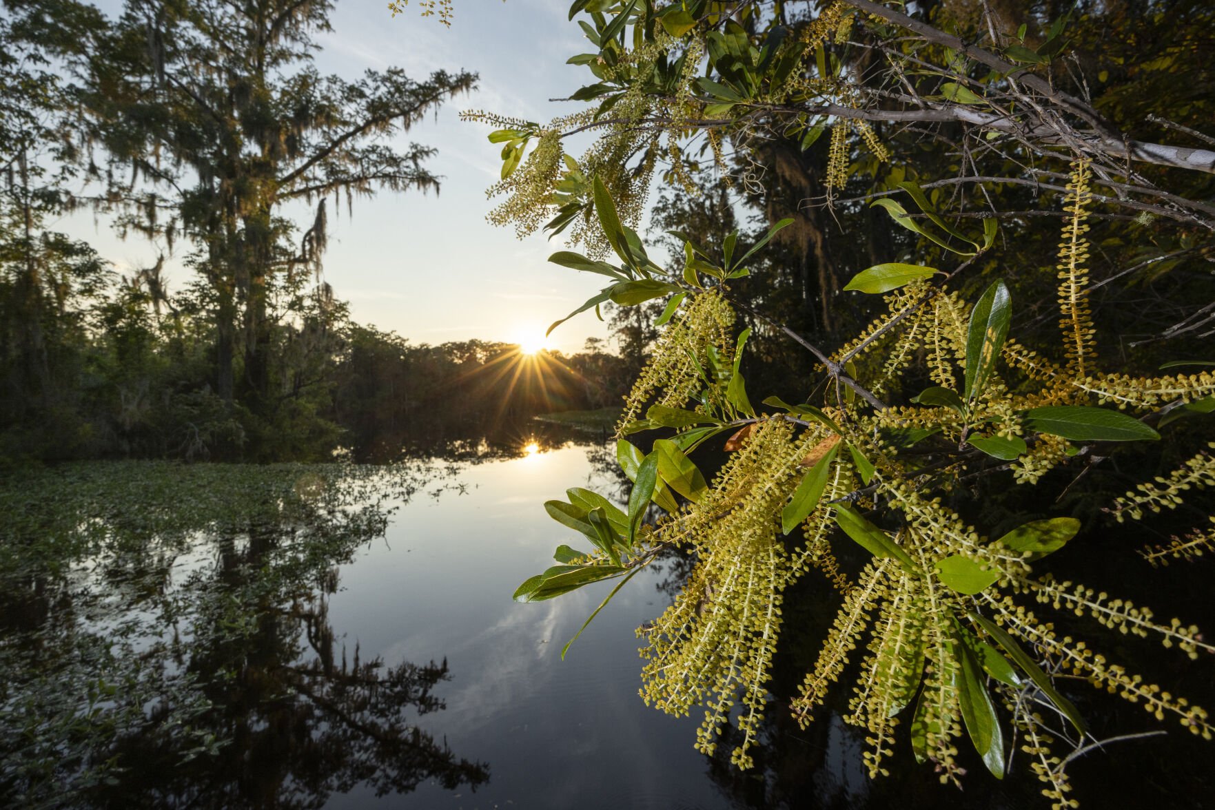 Page A1 | E‑Paper – The Post and Courier | Full Digital SC’s Top Newspaper