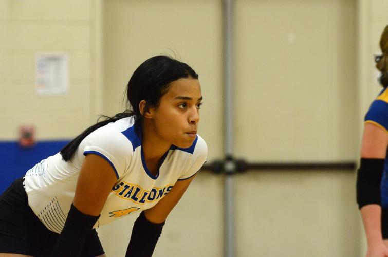 Horse Creek volleyball beats Hunter-Kinard Tyler