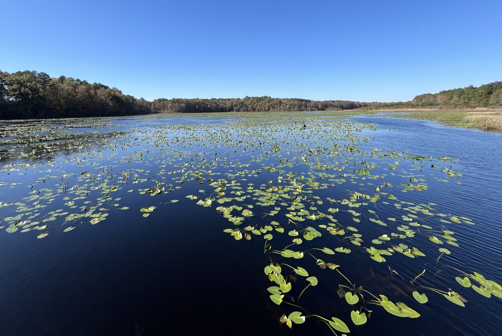 Florence fishing hole at Dargan’s Pond to remain closed