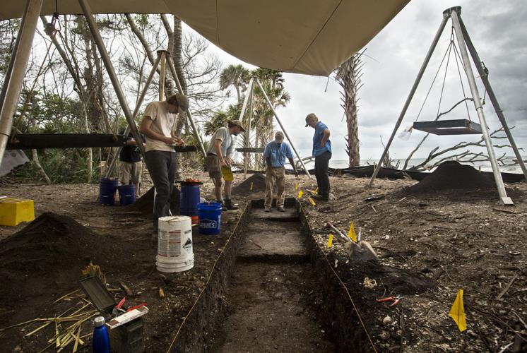 Photos: Archeologists discover two prehistoric shell ring sites at ...