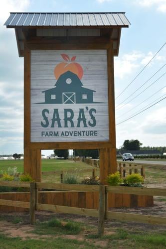 Trenton on track for grand opening of Sara's Farm Adventure
