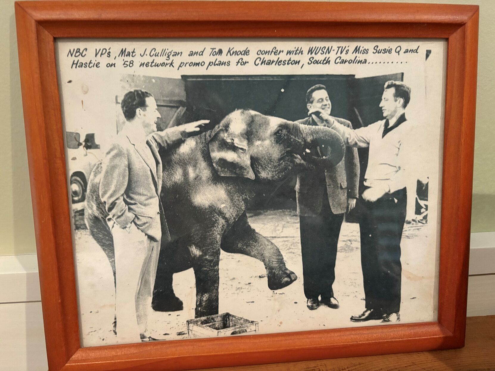 Susie Q the elephant worked in circuses after Charleston