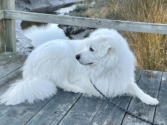 Reader photos: Fuzzy