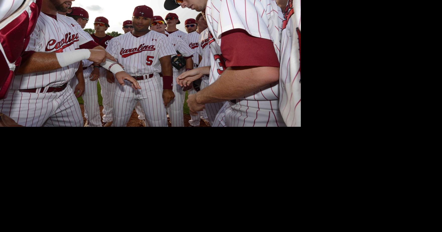 Gamecocks baseball team slated for 13 TV games | Sports ...