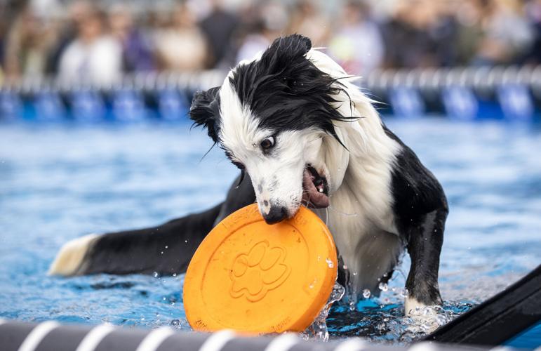 SEWE's impact on Charleston tops $32M, drawing many locals