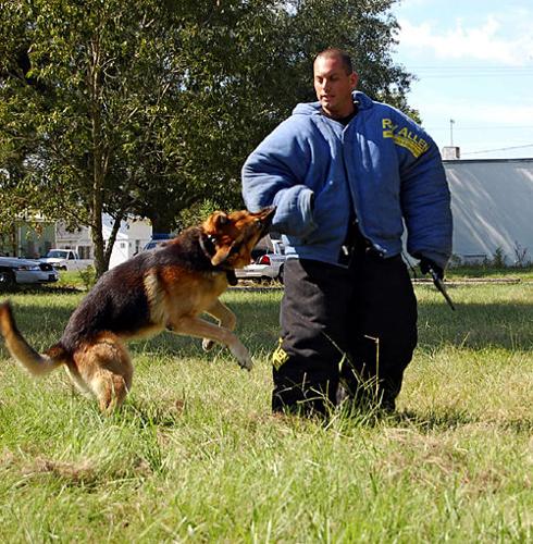 K-9 Odie retires after 9 years on the force