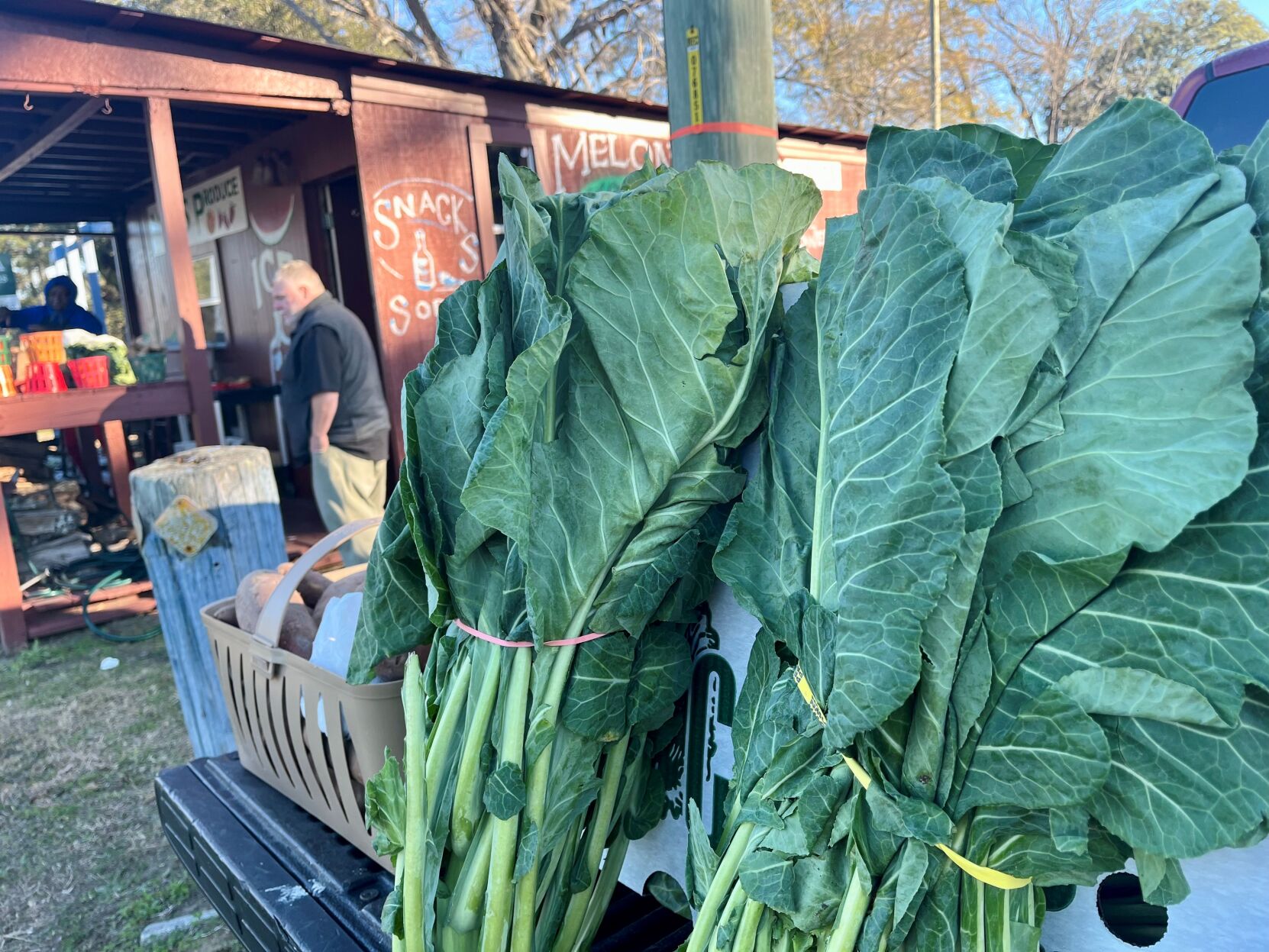 SC farm stands get prosperous boost from New Year's collards