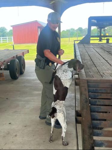 Edgefield County' Sheriff's Office trains rescue for k9 duty