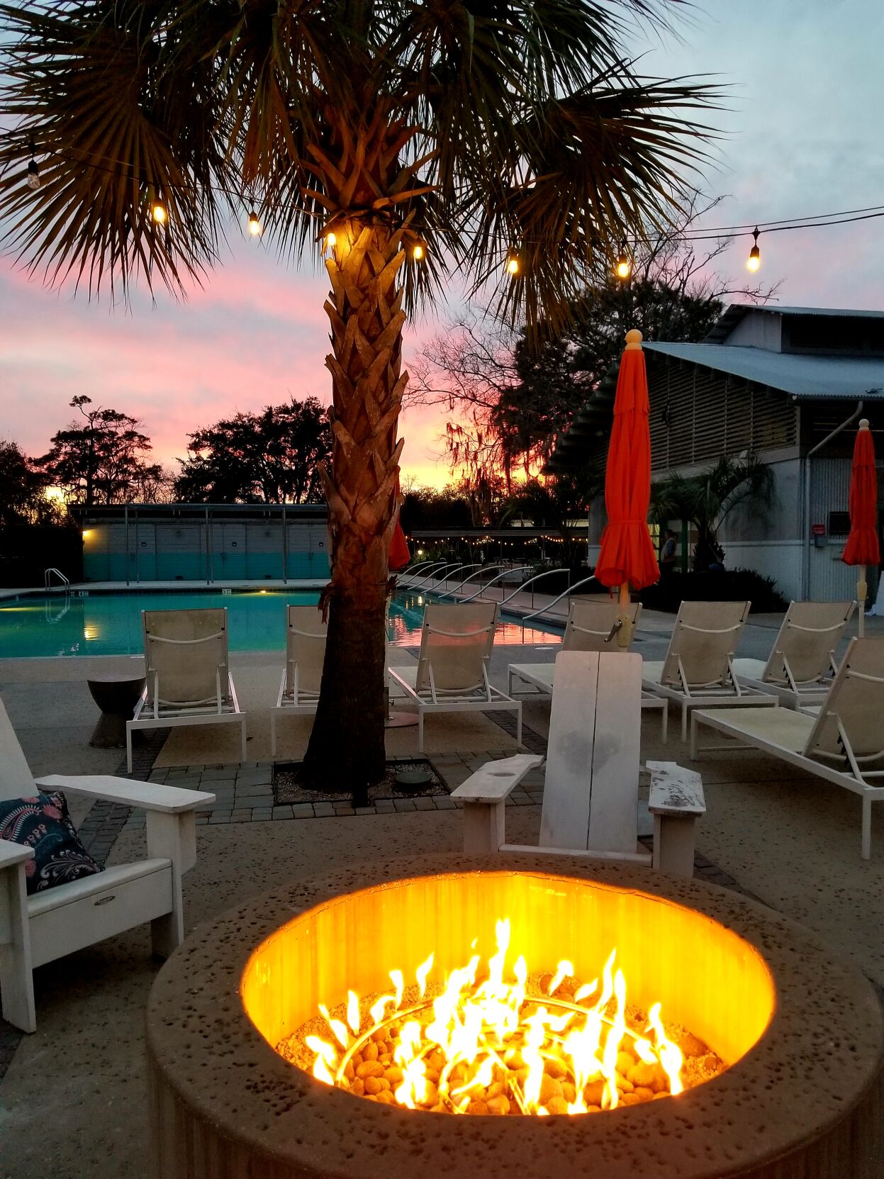 Developer to host grand opening of 'midnight massacre' apartments in ...