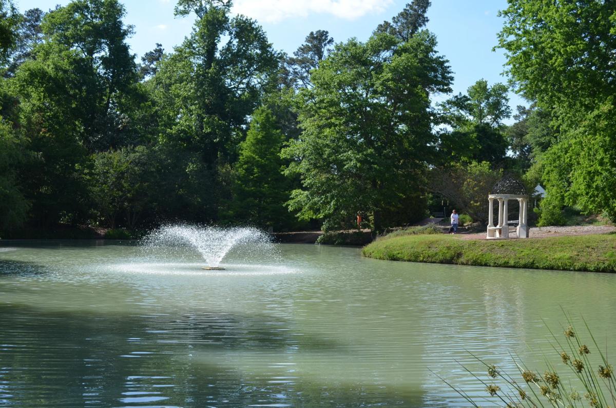 Hopelands Gardens: A natural haven that features many sites free to the ...