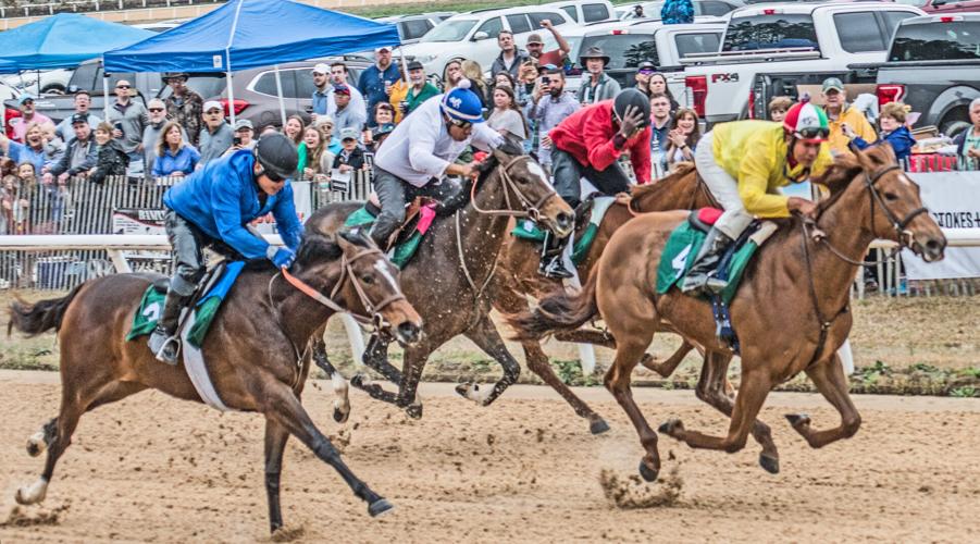 Thoroughbred set to battle to the wire during Aiken Trials