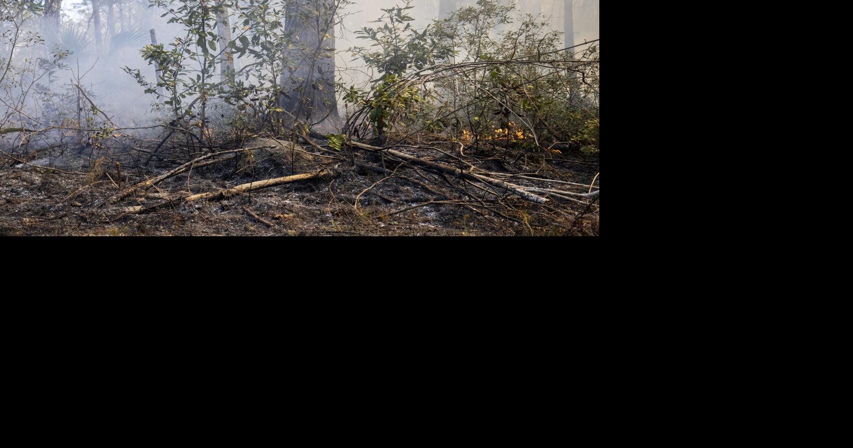 Controlled burns planned in southeast Richland County, SC
