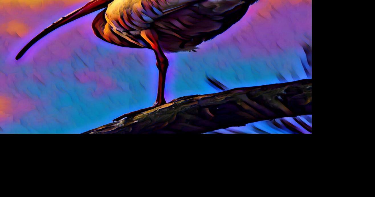 Reader Photos: Color-popping techniques | Your Photos | postandcourier.com