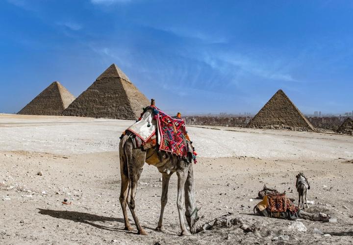 Reader photos: Urban vs rural