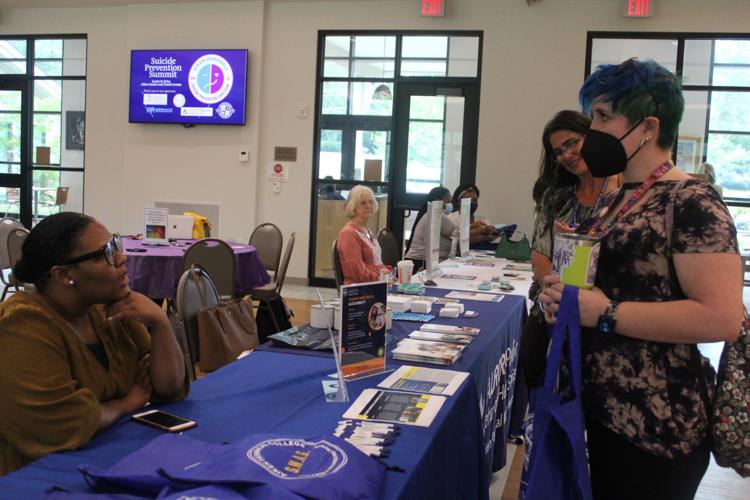 Summit outlines ways to help prevent suicide, support mental health in ...