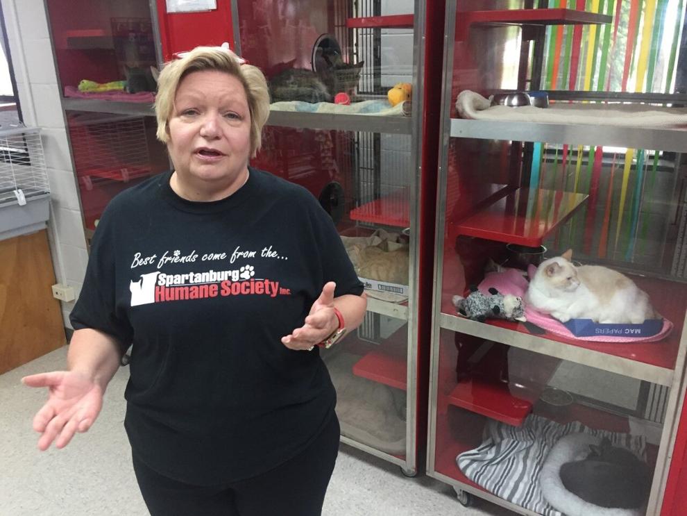 Spartanburg Humane Society plans new $25M animal shelter as county ...