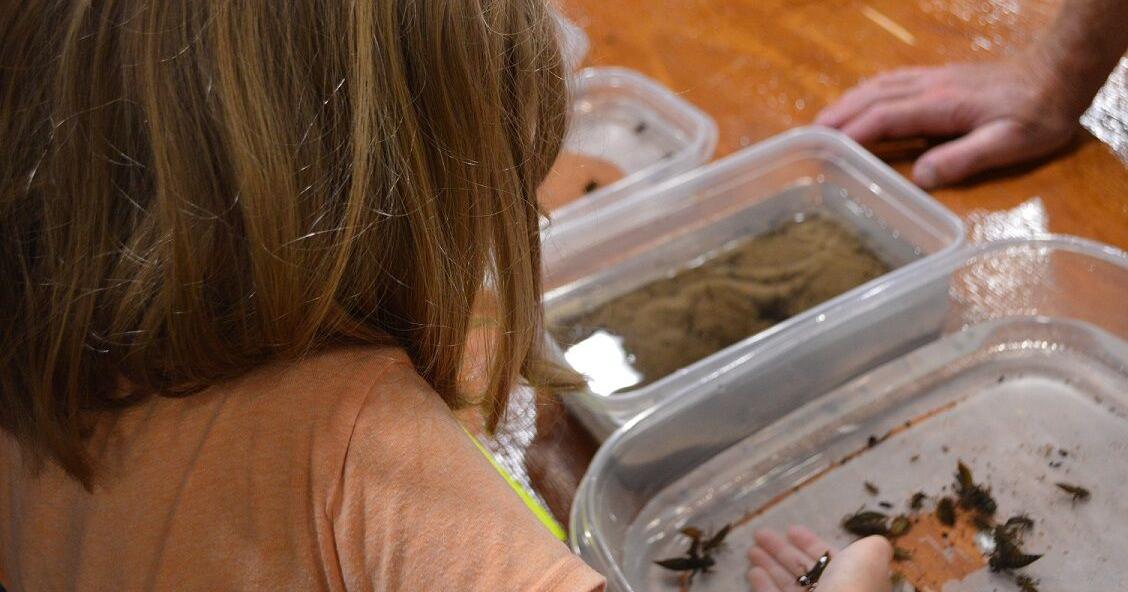 Savannah River Ecology Laboratory committed to research, education ...