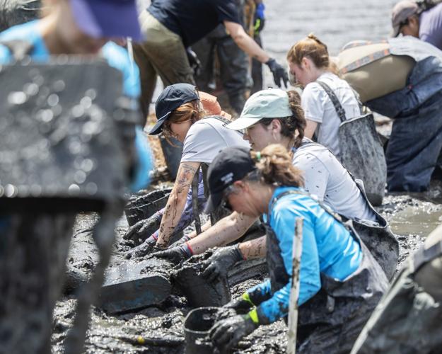 Volunteers carve new creek in historic Maryville marsh