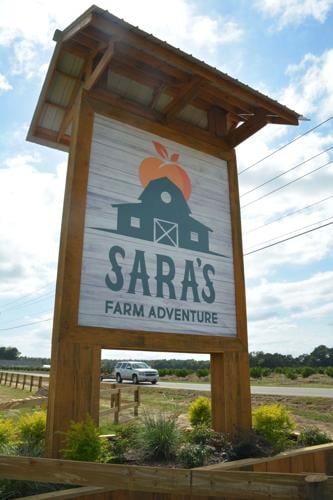 Trenton on track for grand opening of Sara's Farm Adventure
