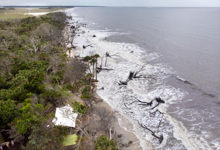 Photos: Archeologists discover two prehistoric shell ring sites at ...