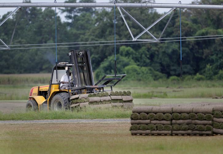 Charleston to be new HQ for 131-year-old Georgia sod grower, retailer