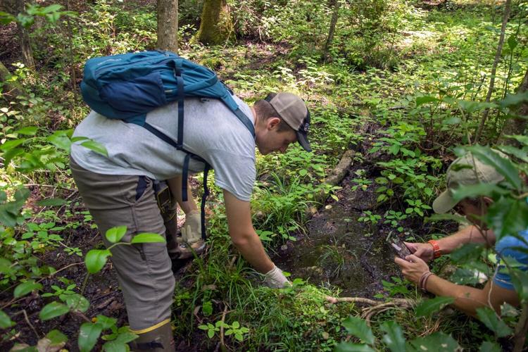 Savannah River Ecology Laboratory committed to research, education ...