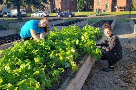 Motley Rice gears up for ProjectGo!