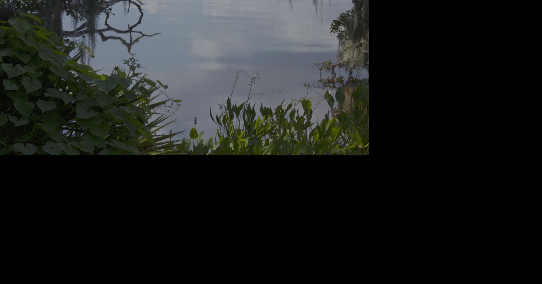 The Truly Remote Life on Dewees Island