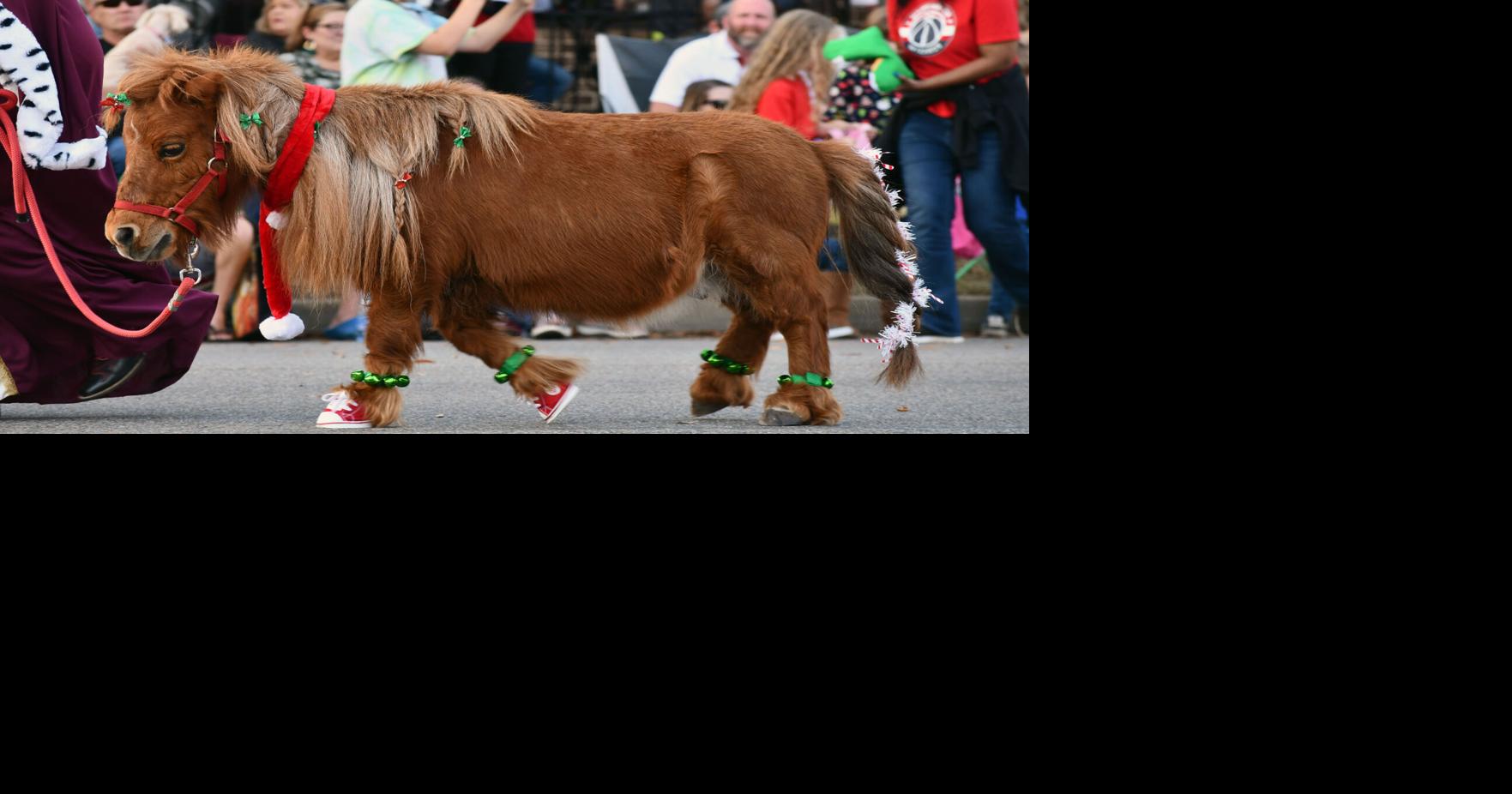 North Augusta Lions set date for 2024 Christmas Parade