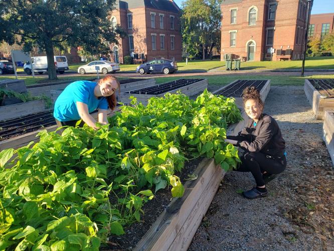 Motley Rice employees give back to the community | Business ...