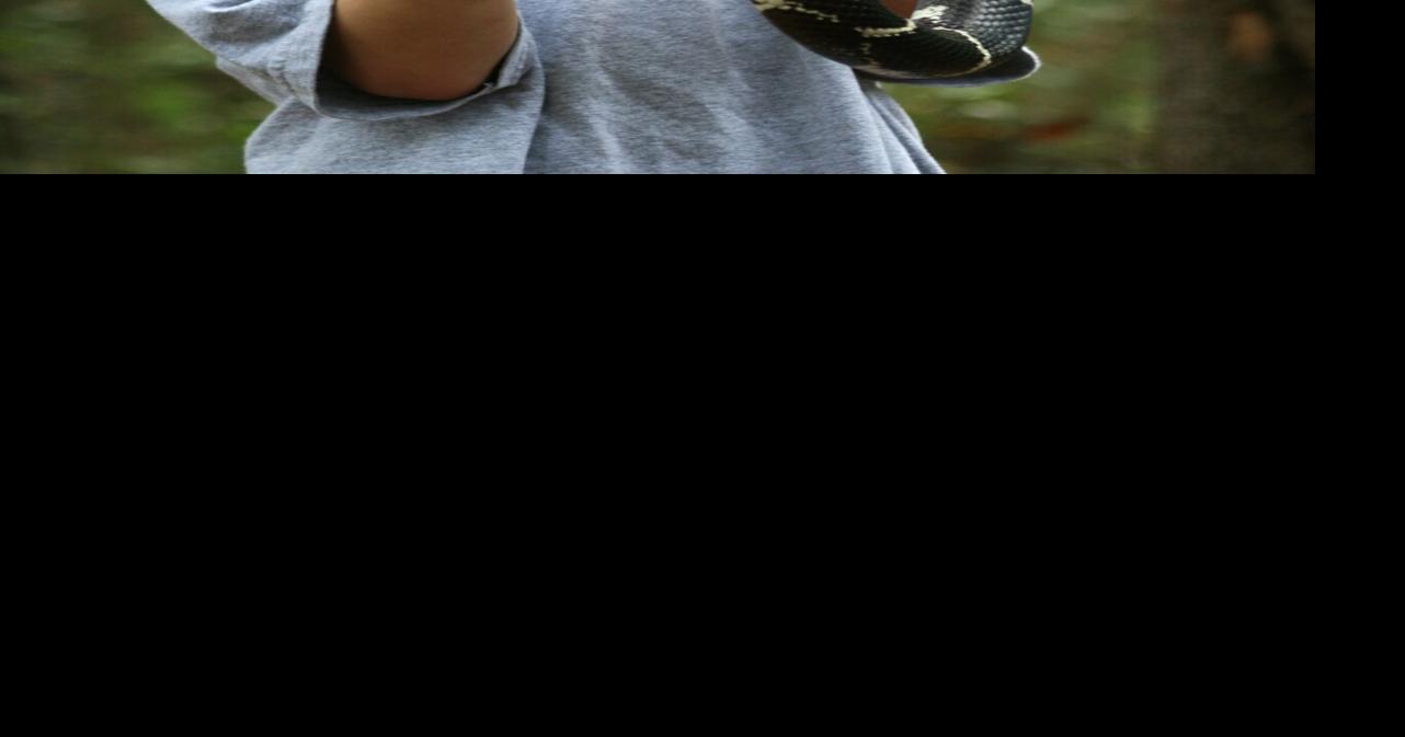 ECOVIEWS: Sometimes people ask unusual questions about snakes ...