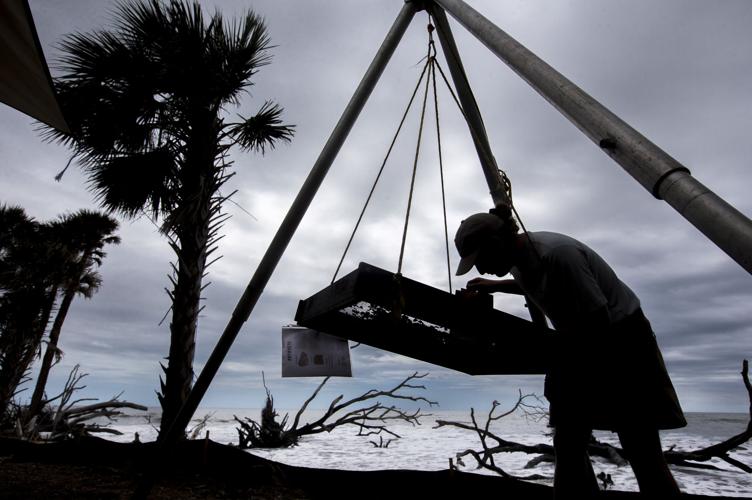 Photos: Archeologists discover two prehistoric shell ring sites at ...