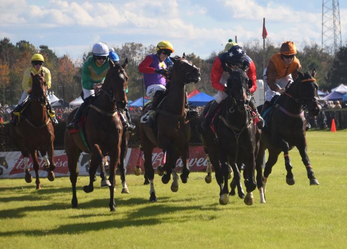 Aiken Steeplechase Association to launch capital campaign | Aiken Area ...